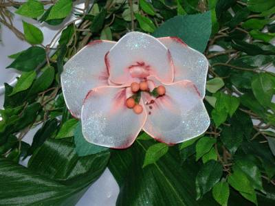 Composizioni di fiori di confetti di Sulmona - Negozio Il Fiocco ...